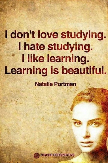 do-you-study-or-do-you-learn